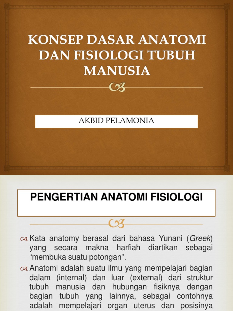 Konsep Dasar Anatomi Dan Fisiologi Tubuh Manusia | PDF