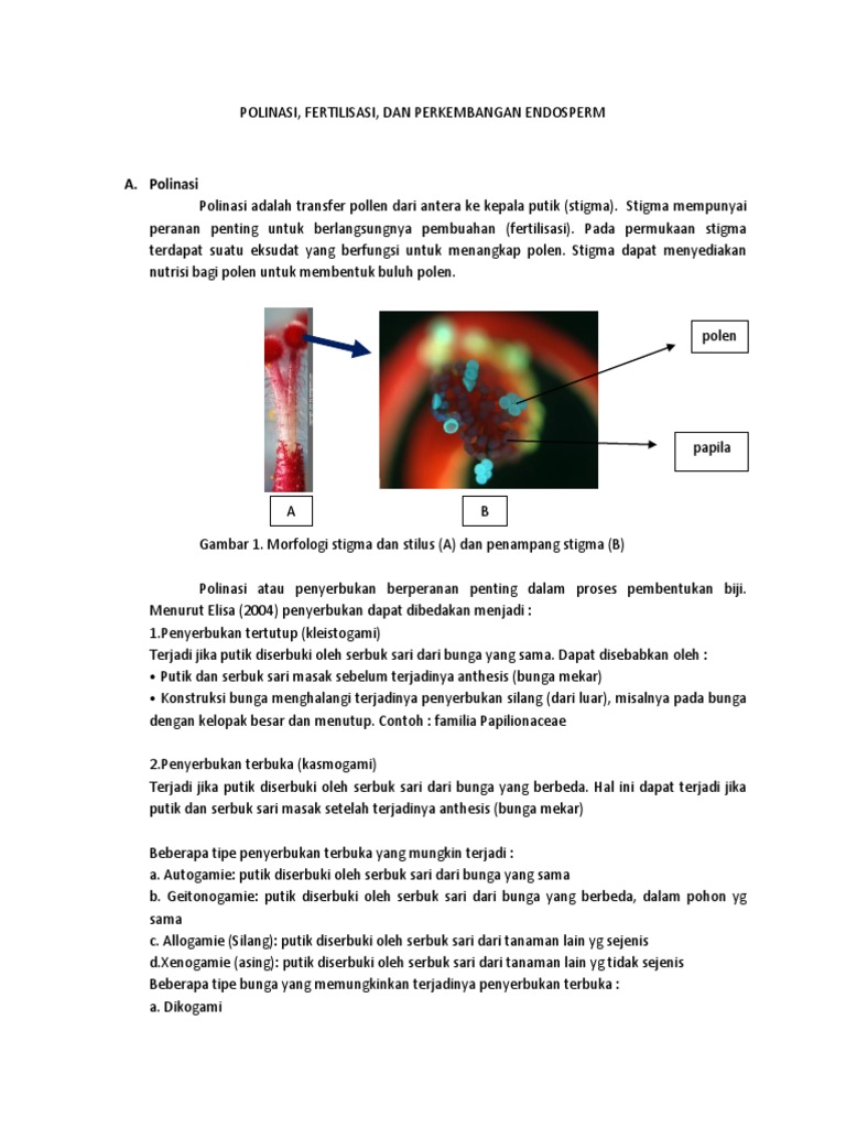 POLINASI Makalah | PDF