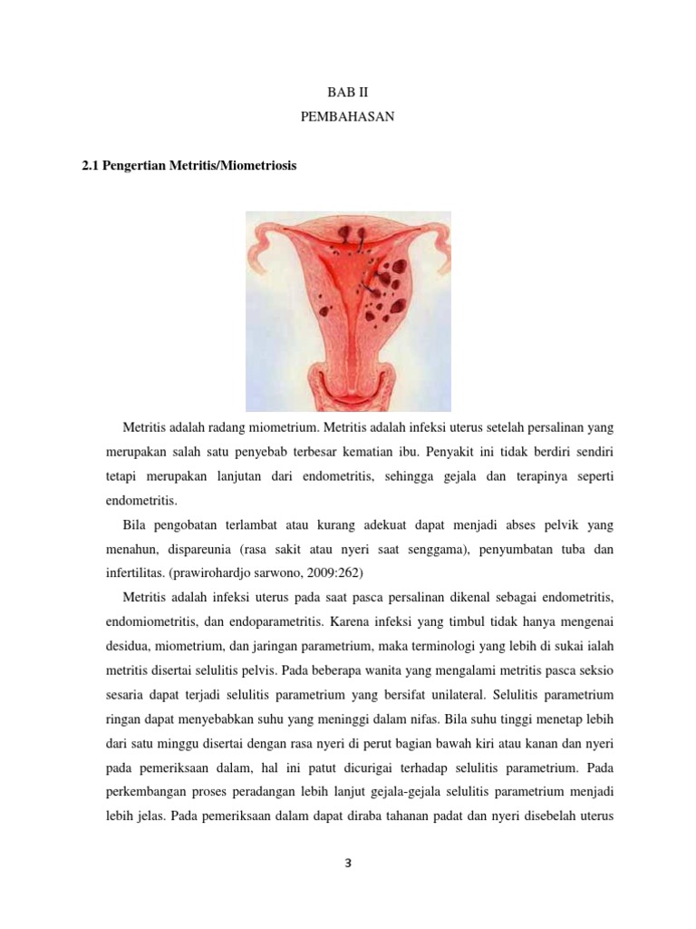 BAB II Metritis | PDF