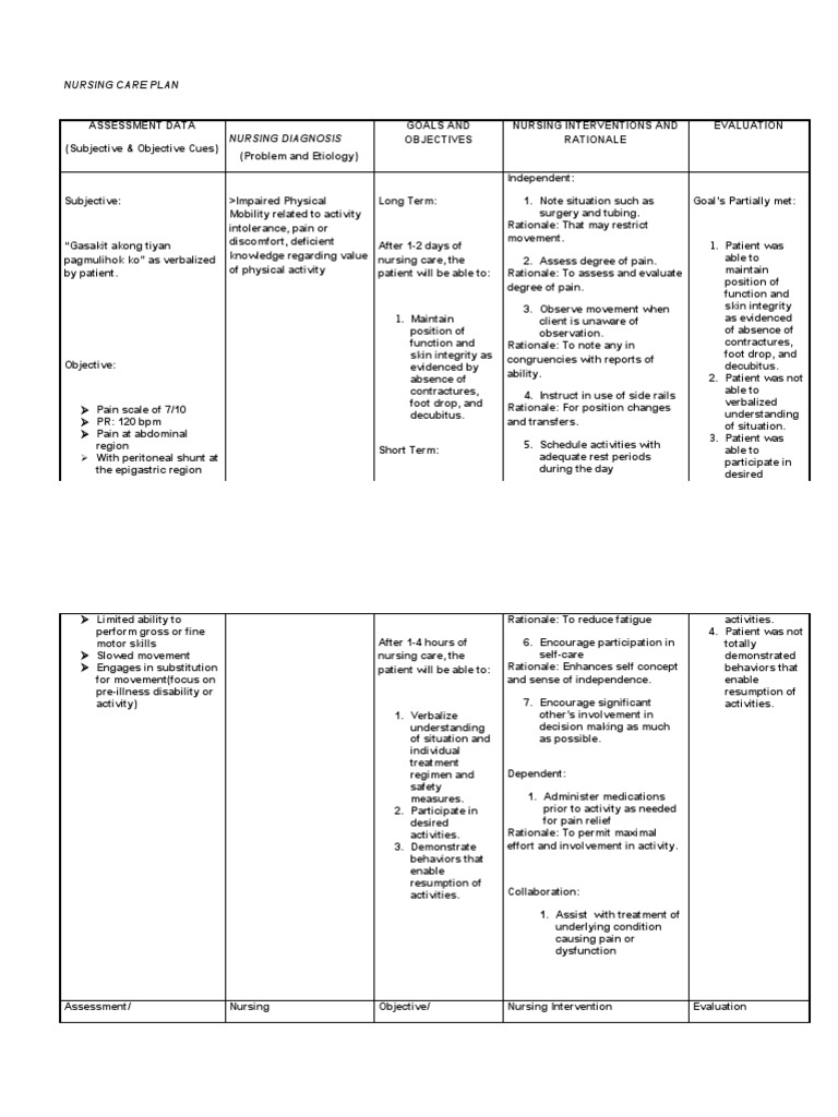 Nursing Care Plan | Download Free PDF | Nursing | Diseases And Disorders