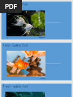 Fish Names in Marathi | PDF | Fishing Industry | Aquatic Animals