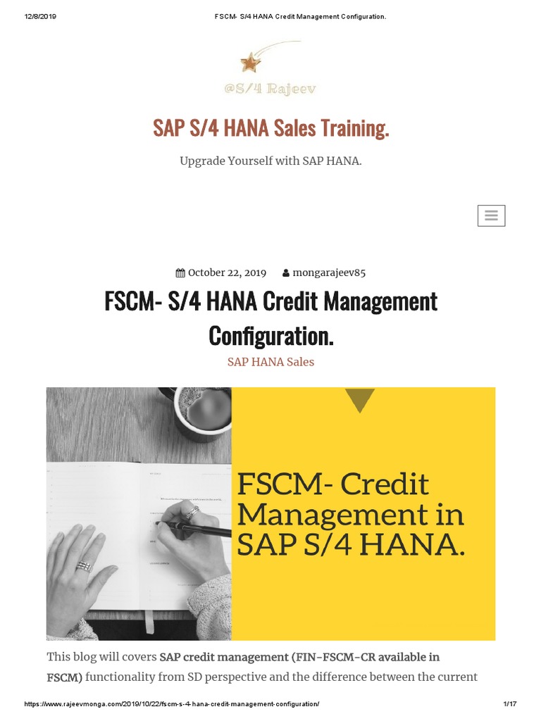 Fscm S 4 Hana Credit Management Configuration Pdf Sap Se Computing