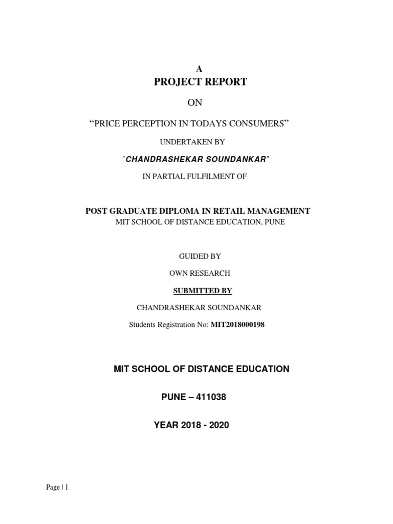 MIT Project Report 1202020 | PDF | Gross Margin | Pricing