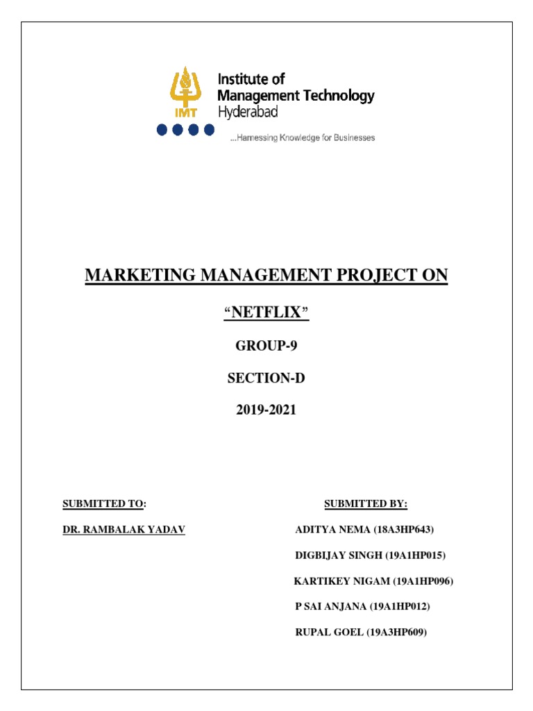 Netflix Group 9 MM Project | PDF | Market Segmentation | Netflix