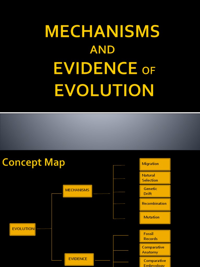 EVOLUTION | PDF | Natural Selection | Evolution