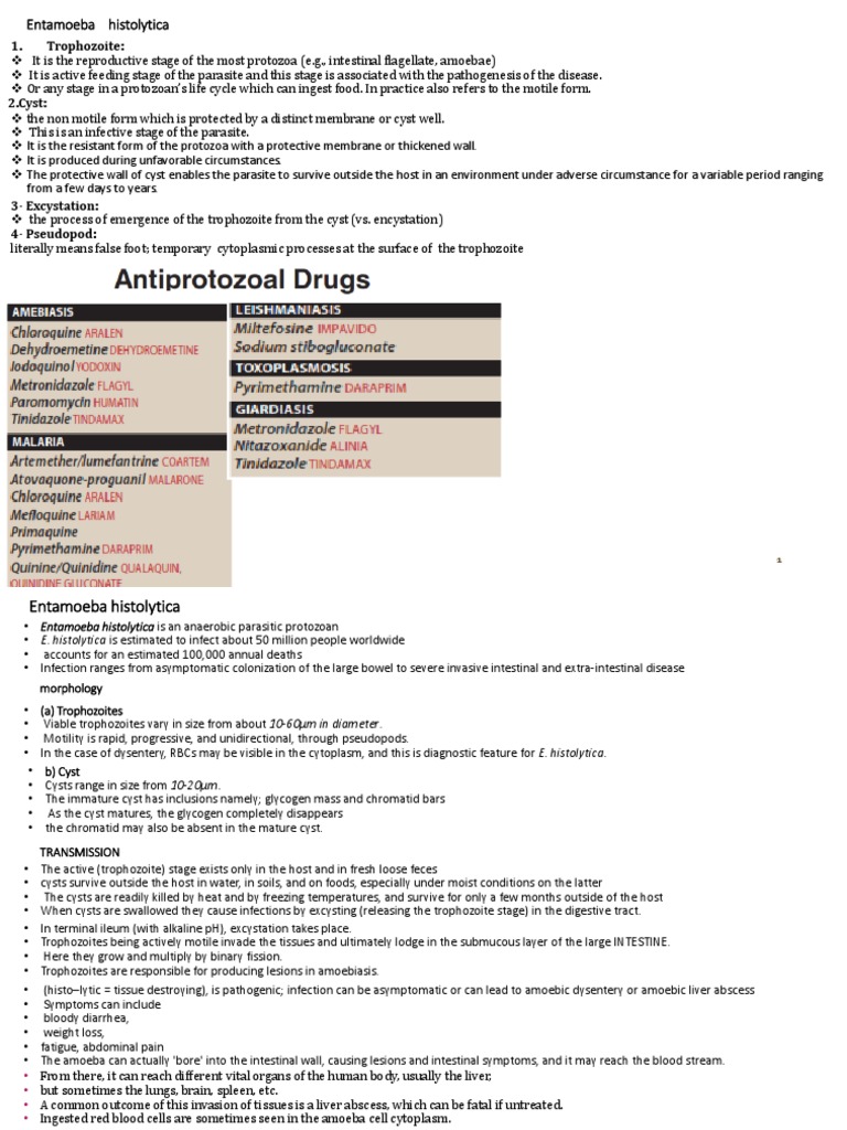 Entamoeba Histolytica | PDF | Diseases And Disorders | Microbiology