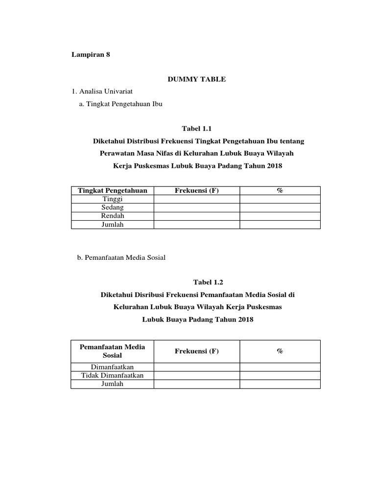 Lampiran 8 Dummy Table | PDF