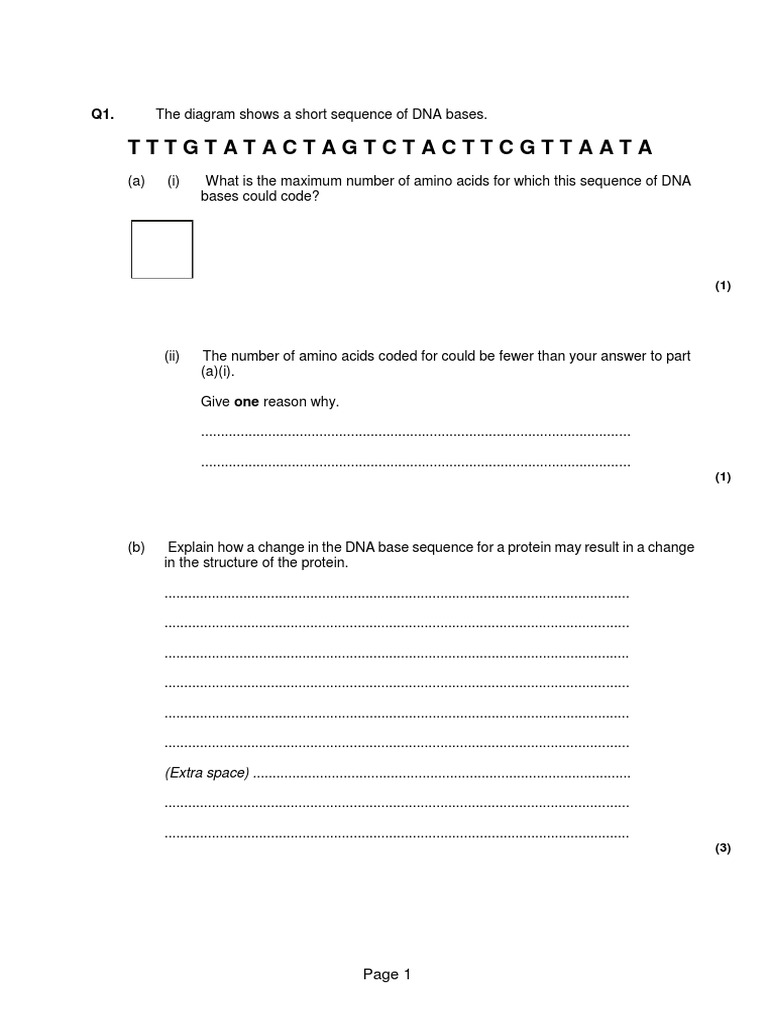 DNA Structure and Function Exam Questions | PDF | Nucleotides | Dna