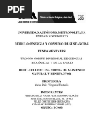 Protocolo Tradicional | PDF | Ocio