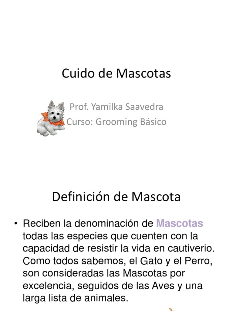 Definicion de Mascotas Clase #1 | PDF | Perros | Organismos