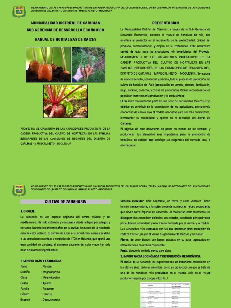 Manual Hortalizas de Raiz | PDF | Organismos | Plantas