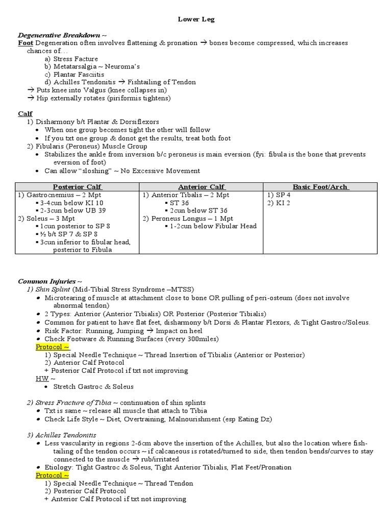 Lower Leg Injury Protocols & Treatments | PDF | Foot | Human Leg