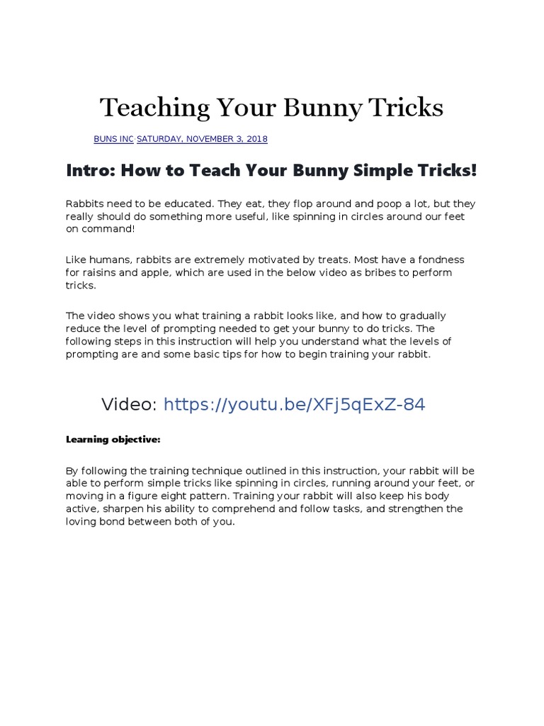 How to Train Your Bunny: A Guide to Using Positive Reinforcement and ...