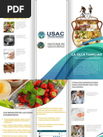 Olla Familiar Guatemalteca | PDF | Alimentos | Dieta