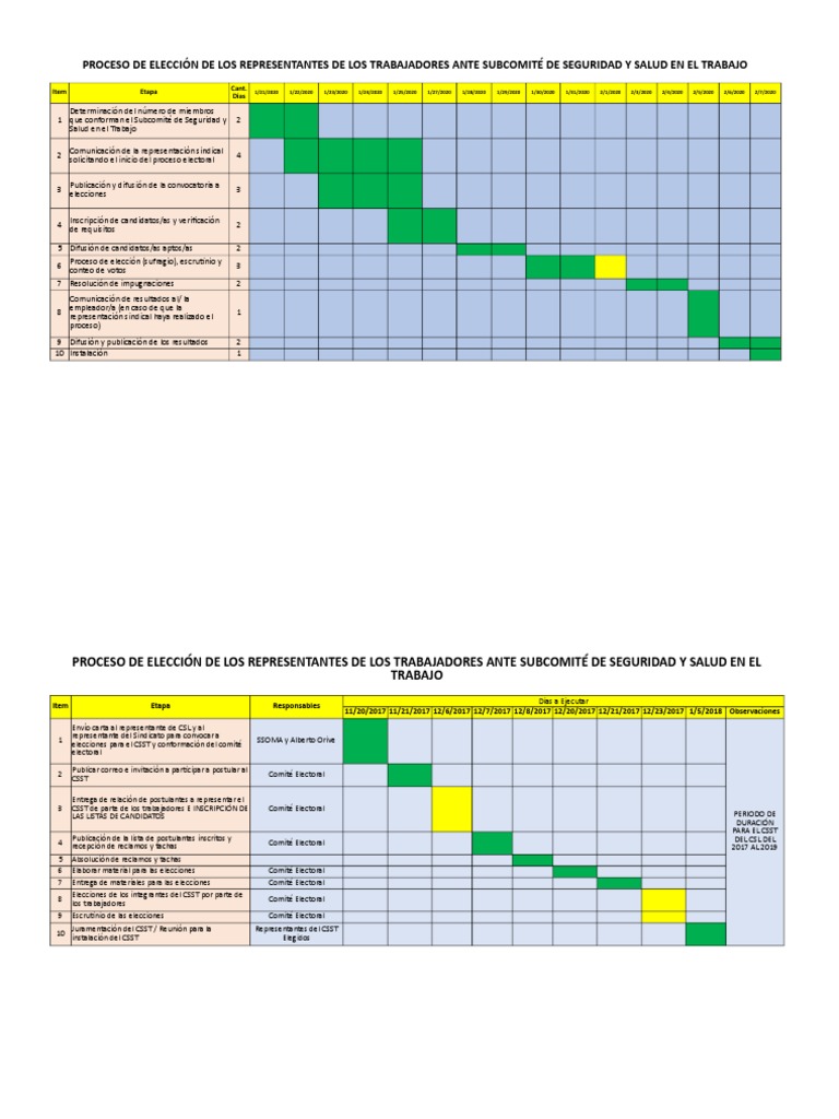 Cronograma de Elecciones Del Comite SST | PDF | Elecciones | Votación