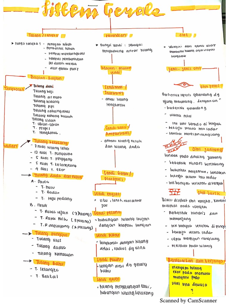 Mind Map Sistem Gerak | PDF