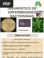 Tabla de Identificacion Enterobacterias | PDF | Las bacterias ...