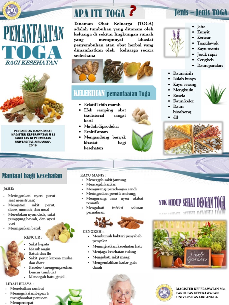 Leaflet Pengmas Toga | PDF