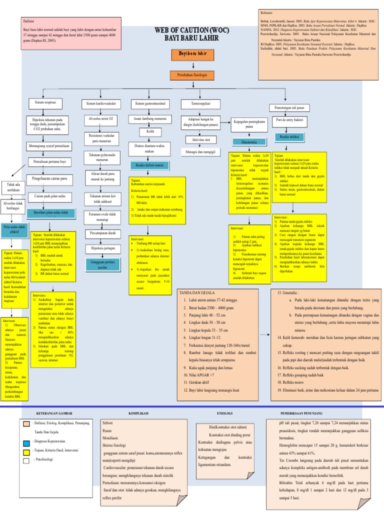Web of Caution BBL | PDF