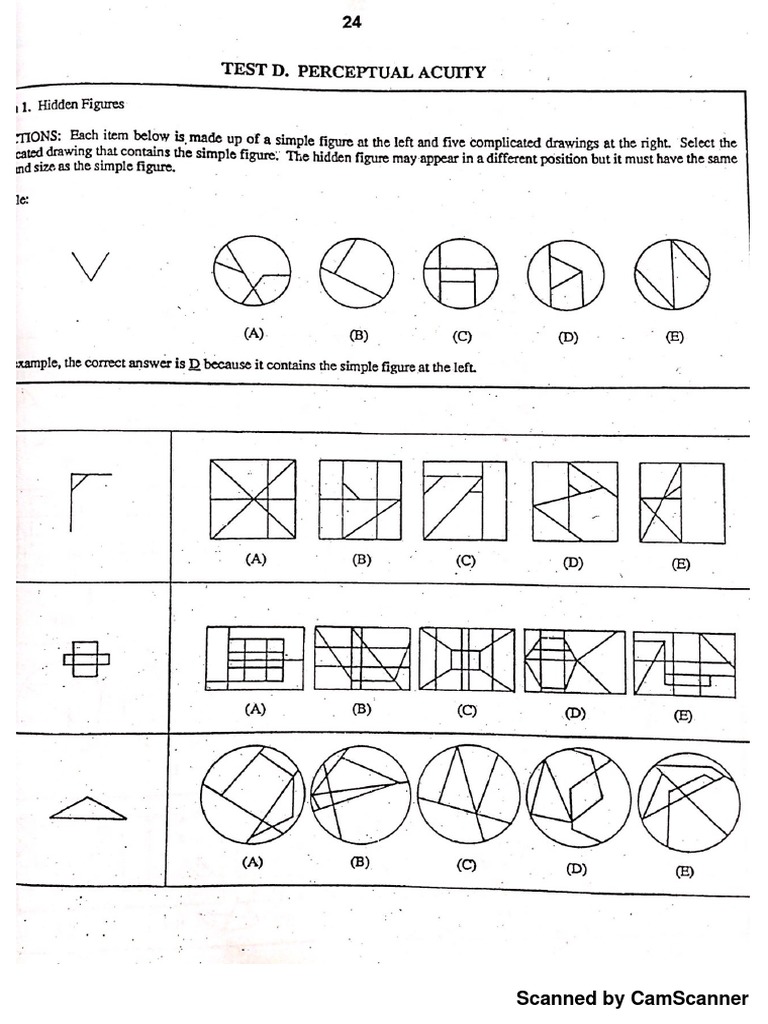 PICS Perceptual Acuity PDF | PDF