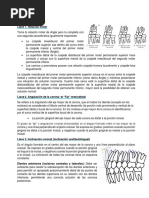 Diagrama de Posselt en Oclusión | PDF | Sistema musculoesquelético ...