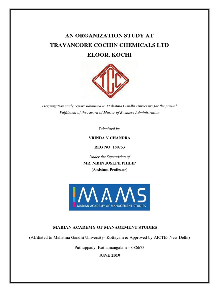 TCC Report | PDF | Chemical Industry | Sodium Hydroxide