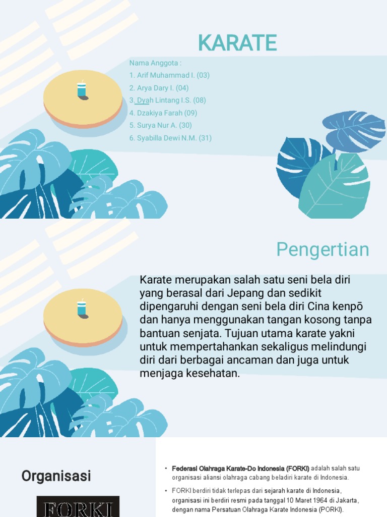 Pengertian dan Organisasi Karate di Indonesia | PDF