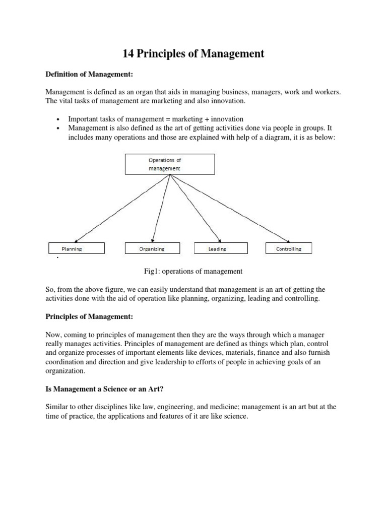 14 Key Principles of Management | PDF | Innovation | Marketing