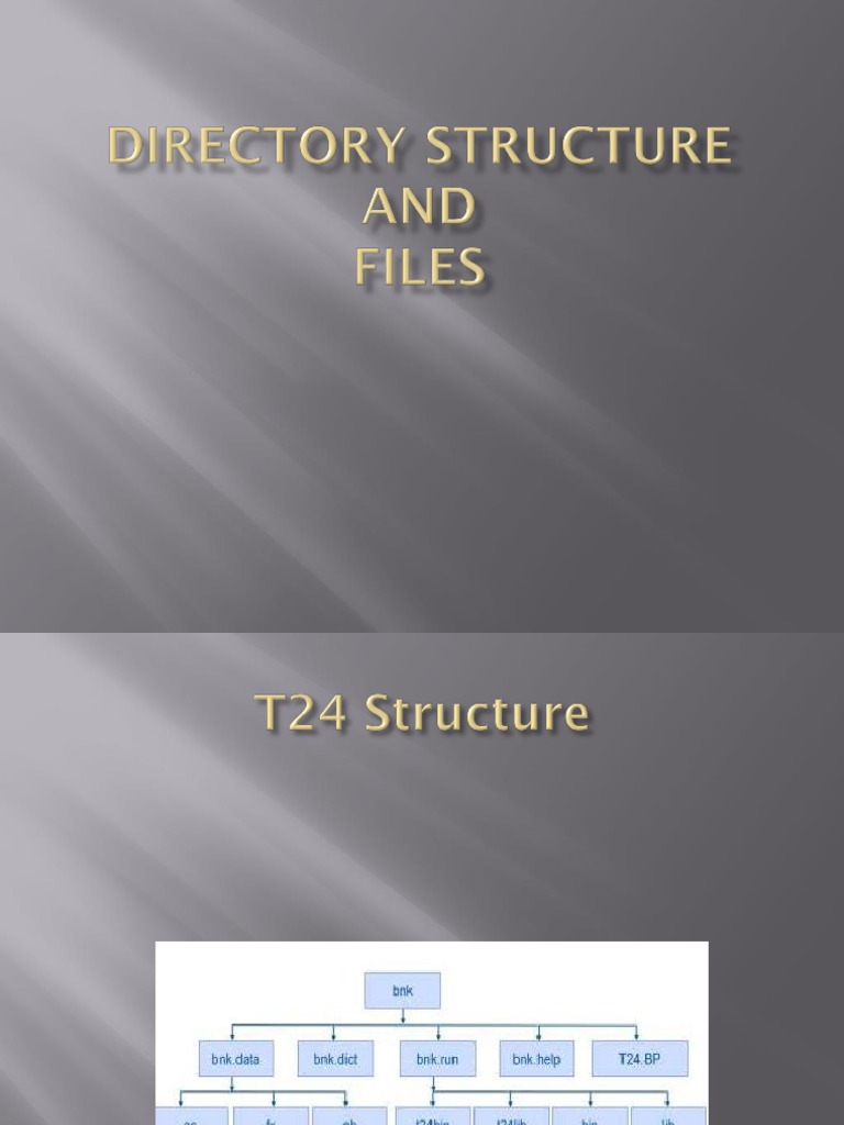 Directory Structure of T24 | PDF