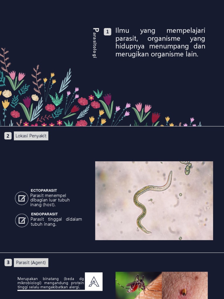 PARASITOLOGI (Siklus Hidup Parasit) | PDF