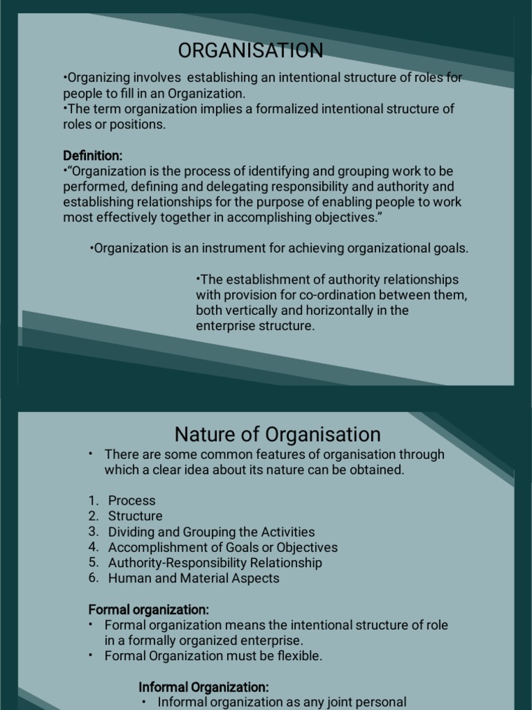 ORGANISATION PPT Done PDF | PDF | Goal | Hierarchy