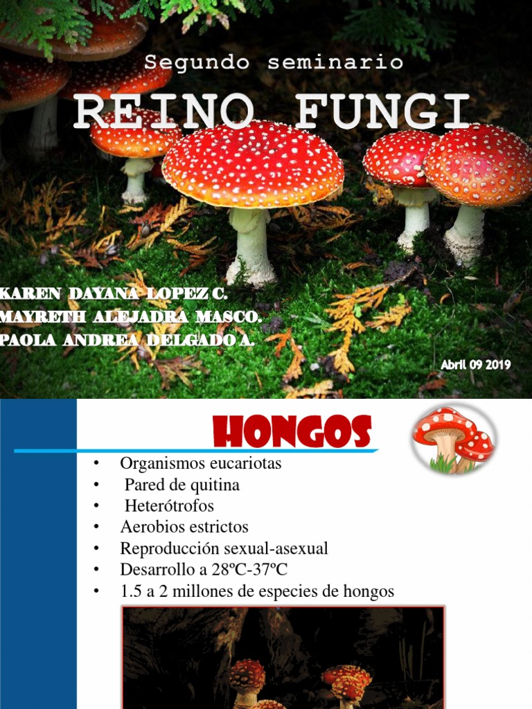 Por Fin MICOS | PDF | Hongo | Organismos