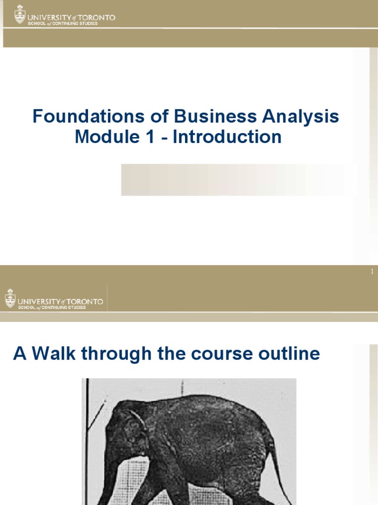 Foundations of Business Analysis Module 1 - Introduction | PDF ...