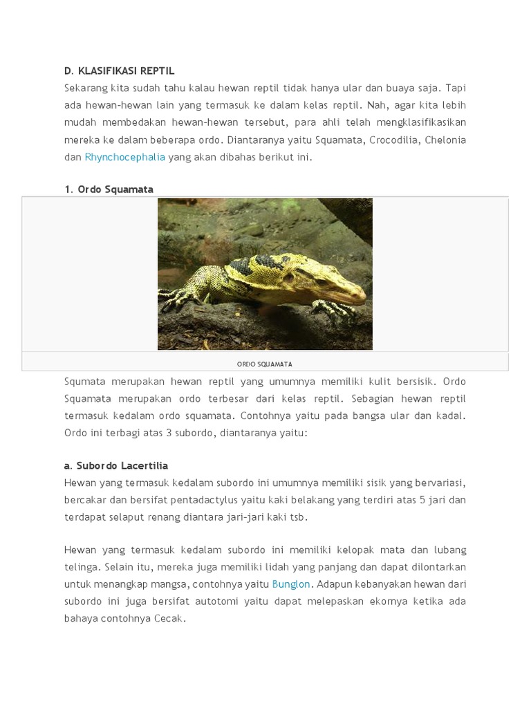 Reptil | PDF | Griya & Taman | Sains & Matematika