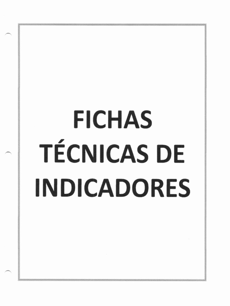 09 Fichas Tecnicas de Indicadores 1 | PDF