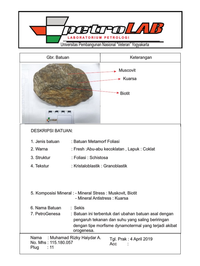 Sekis | PDF
