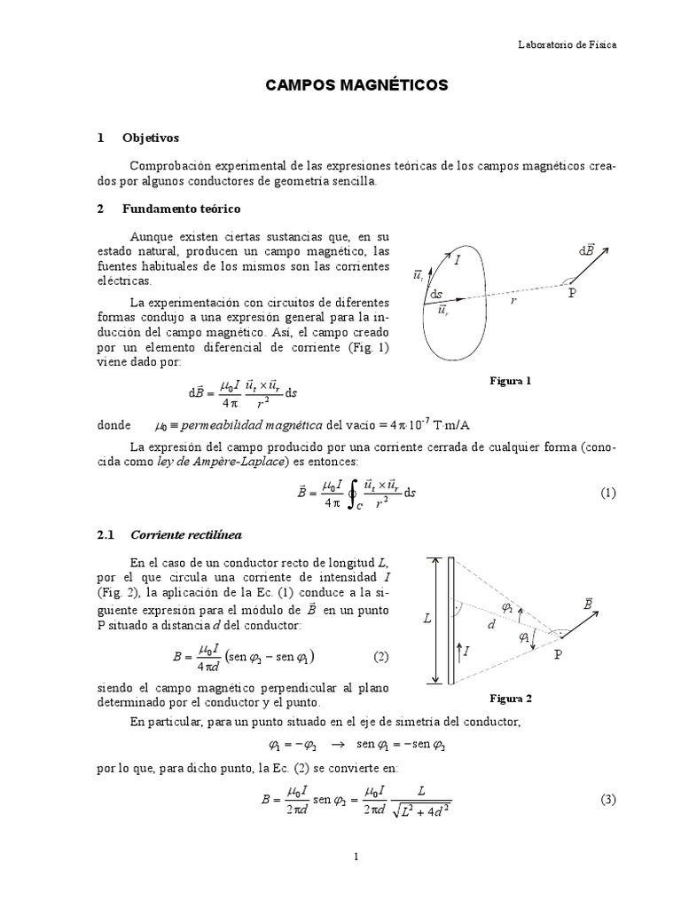 Campos Magneticos | PDF | Campo magnético | Corriente eléctrica