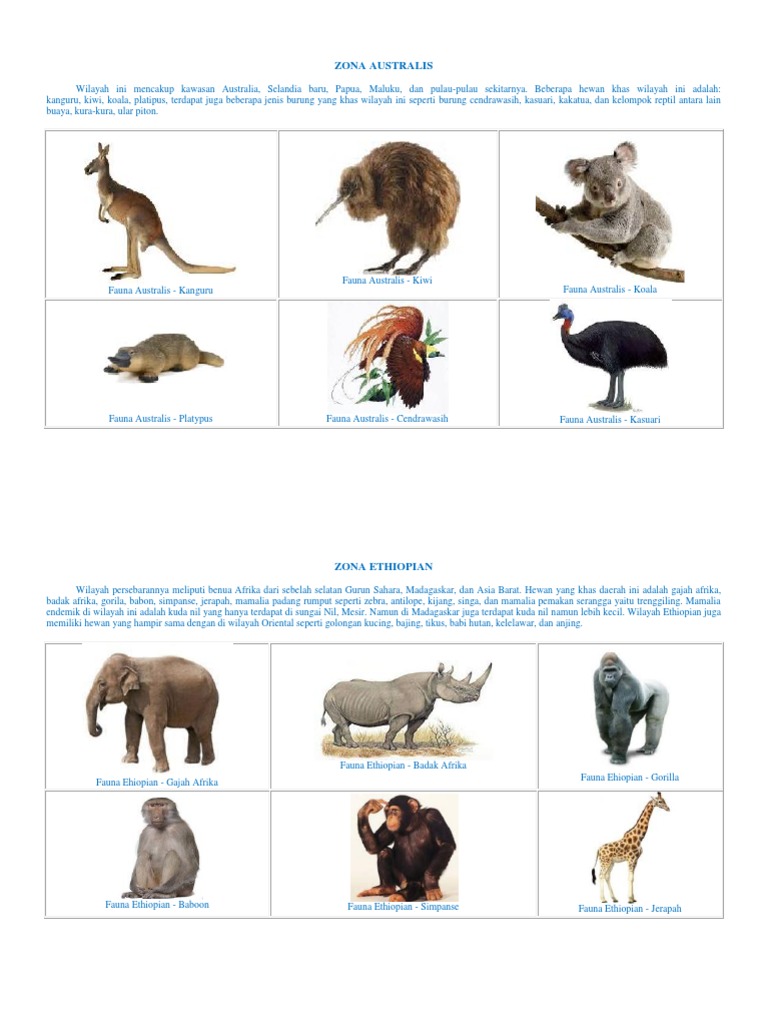 Fauna Berdasarkan Wilayah | PDF