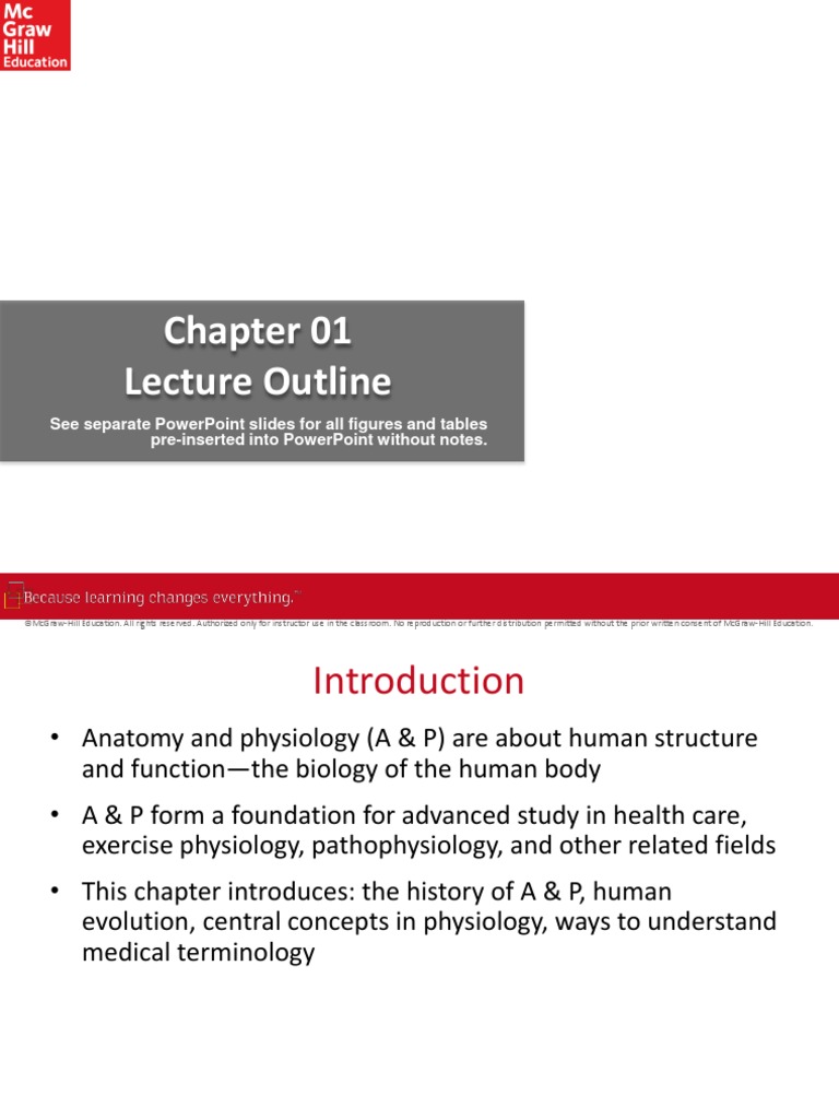 ch01 APR Lecture PPT | PDF | Homeostasis | Medical Imaging