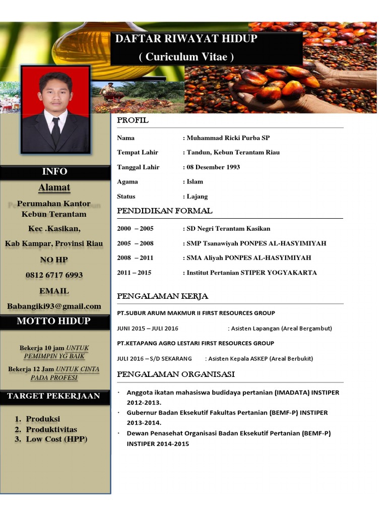 CV M.Ricki Purba | PDF