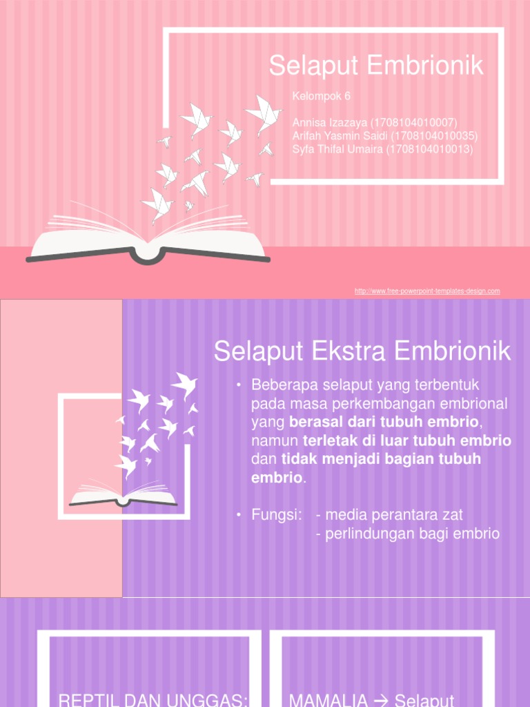 Selaput Ekstra Embrionik | PDF | Kesehatan Holistik