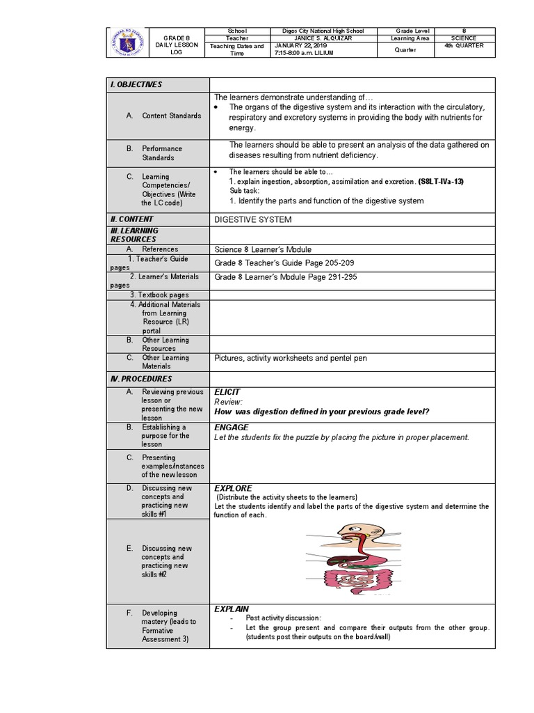 Teaching the Digestive System: A Lesson on the Organs, Functions and ...