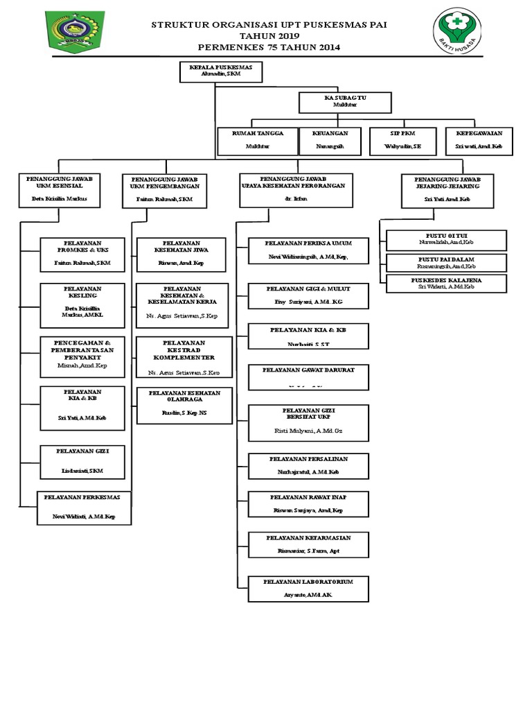 Struktur Organisasi Upt Puskesmas Pai | PDF