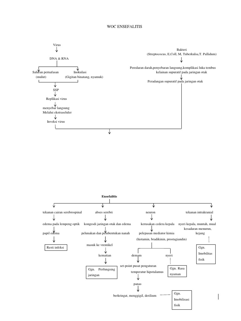 Penanganan WOC Ensefalitis | PDF
