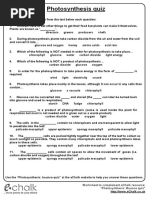 Print Photosynthesis - Grade 8 - Worksheet | PDF | Photosynthesis | Leaf