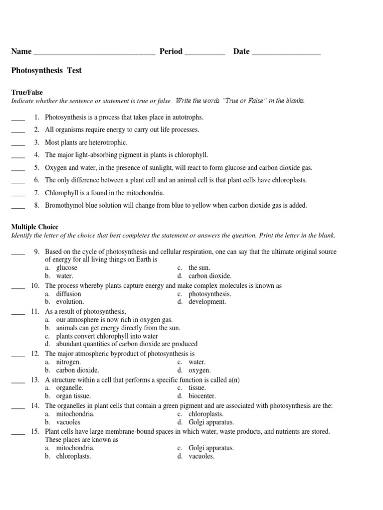Photosynthesis Test I Anwser | PDF | Photosynthesis | Chloroplast