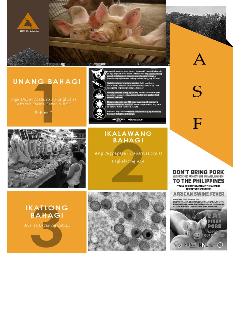 Ano Ang African Swine Fever ? | PDF