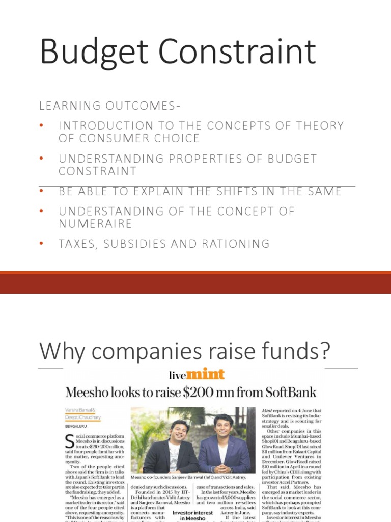 Budget Constraint | PDF | Taxes | Economics