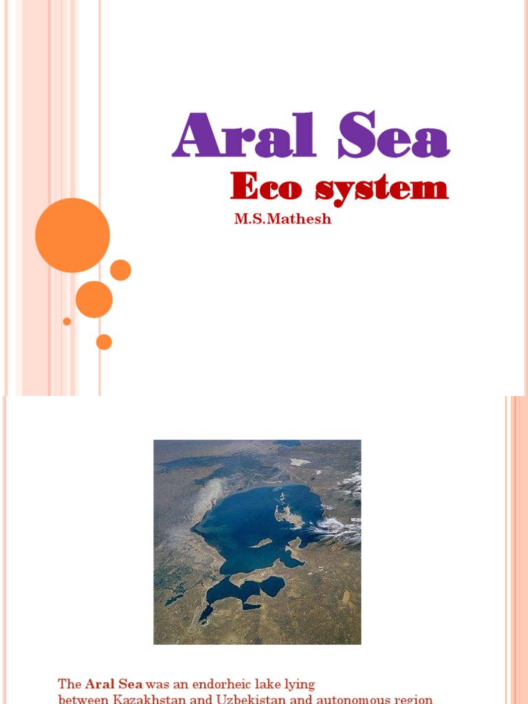 How Soviet Irrigation Projects Destroyed the Aral Sea Eco System | PDF ...