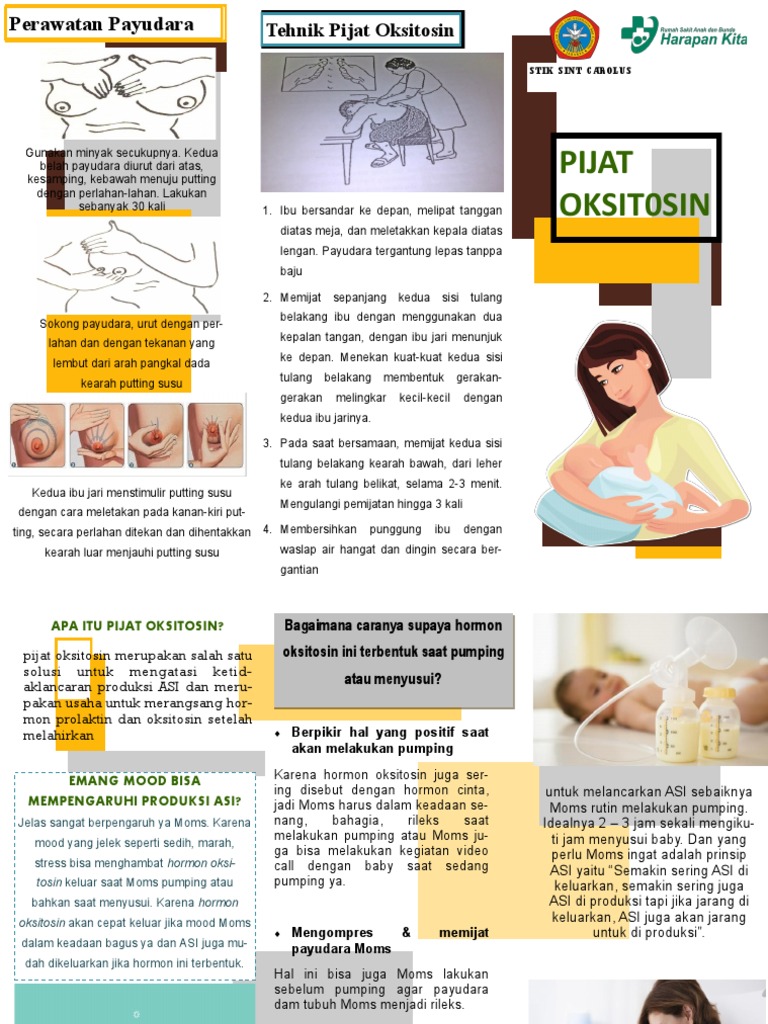Leaflet Pijat Oksitosin | PDF